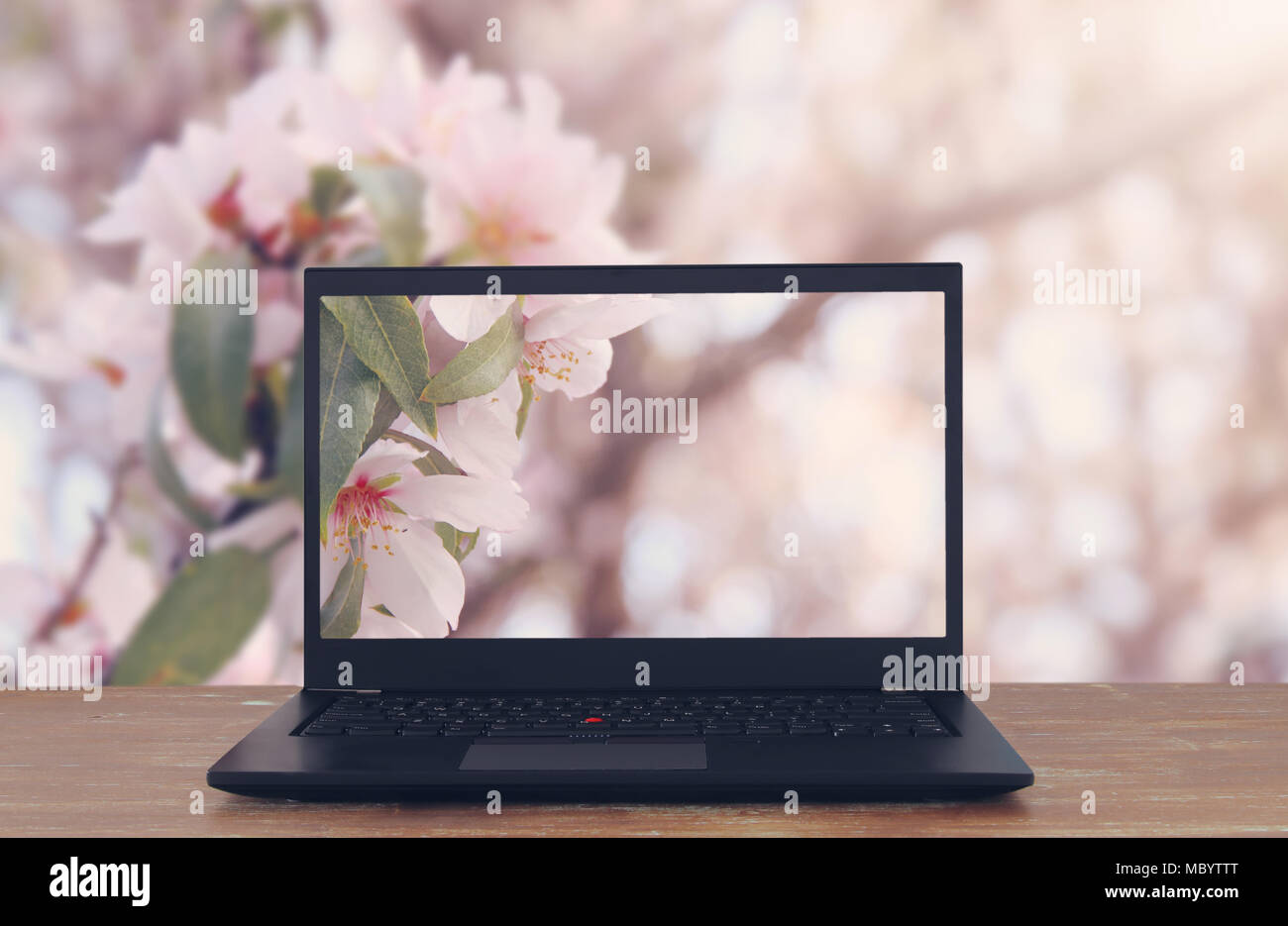 Image of outdoors with open laptop Stock Photo - Alamy