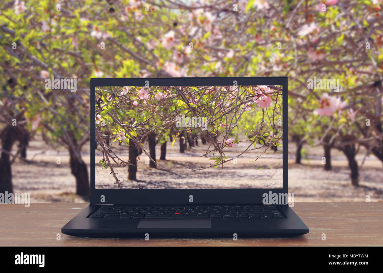 Image of outdoors with open laptop Stock Photo - Alamy