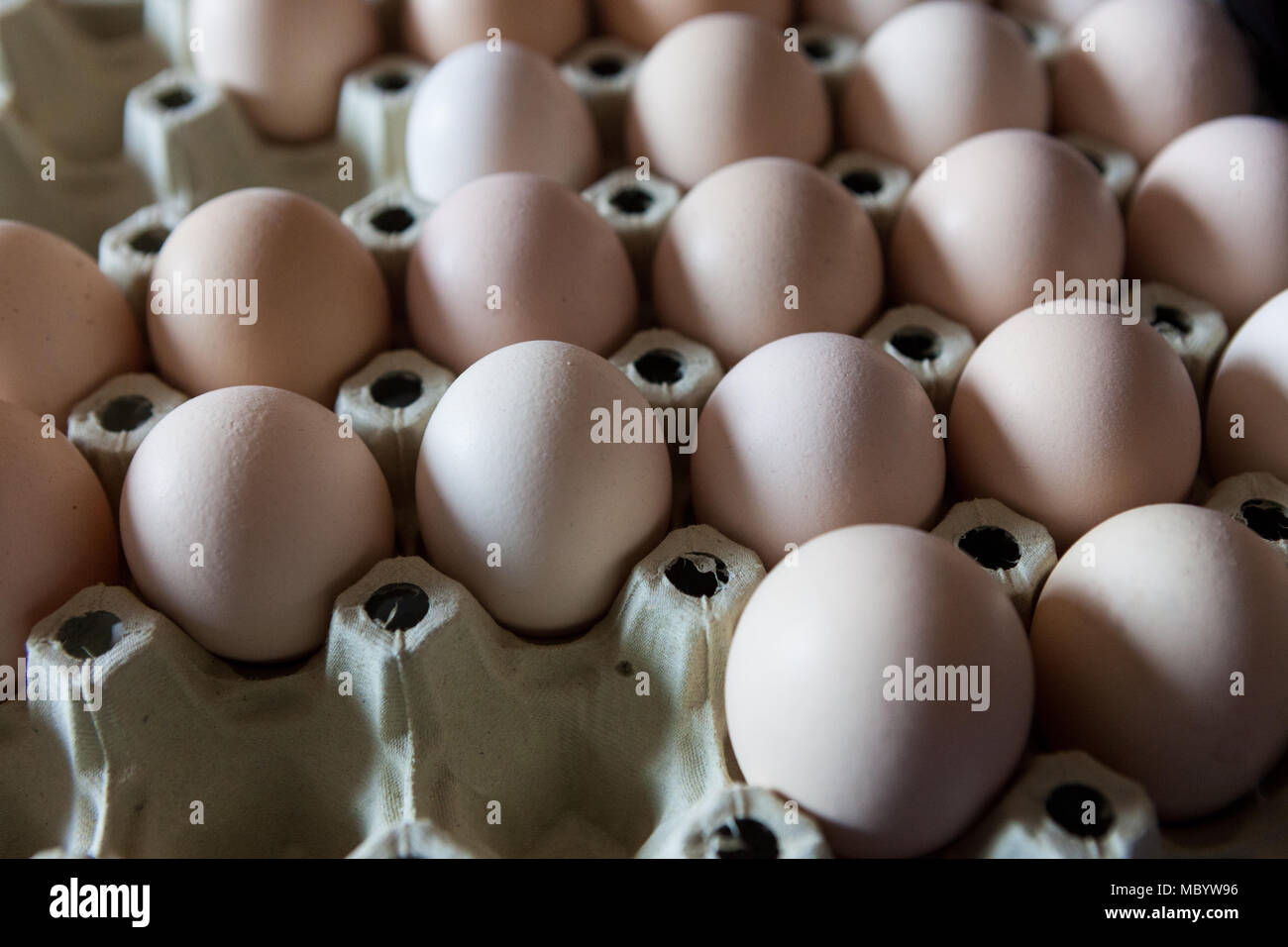 Row cell hi-res stock photography and images - Alamy