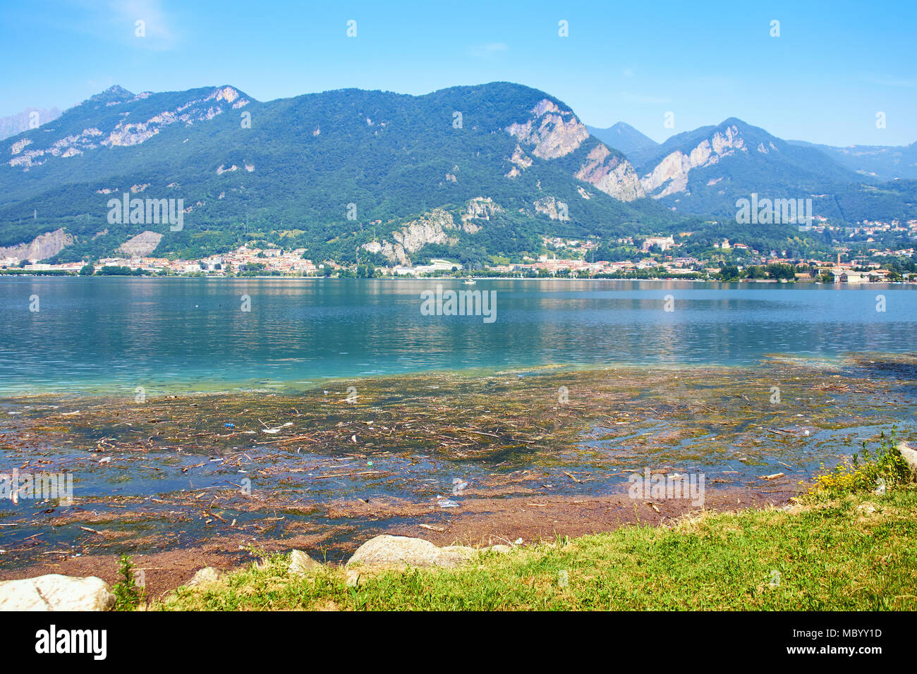 Dirty water with algae on lake Como in Italy Stock Photo - Alamy