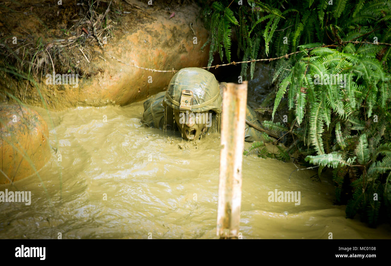 Jungle operations training center hi-res stock photography and images ...
