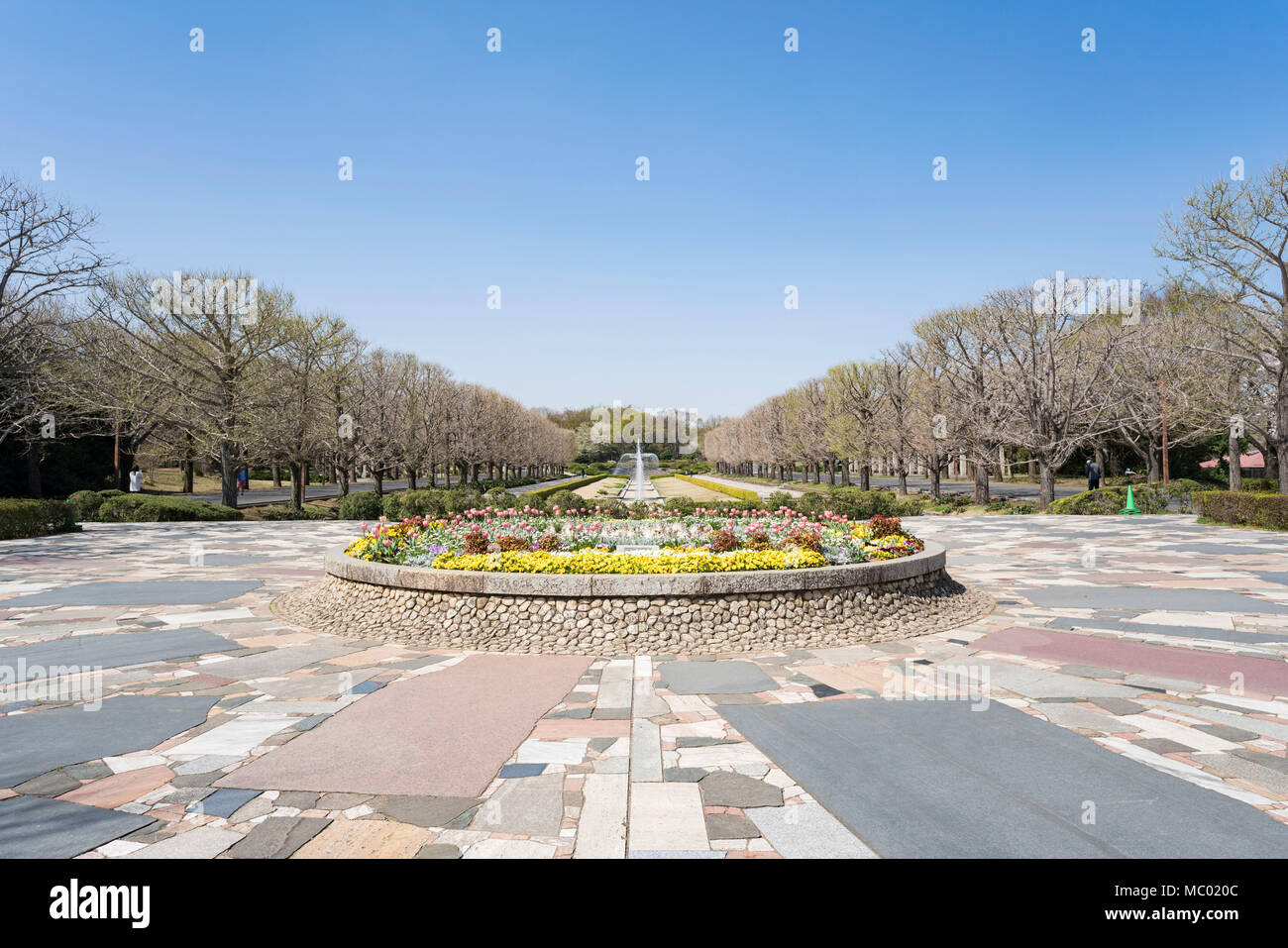 Showa Memorial Park, Tachikawa and Akishima City, Tokyo, Japan Stock ...
