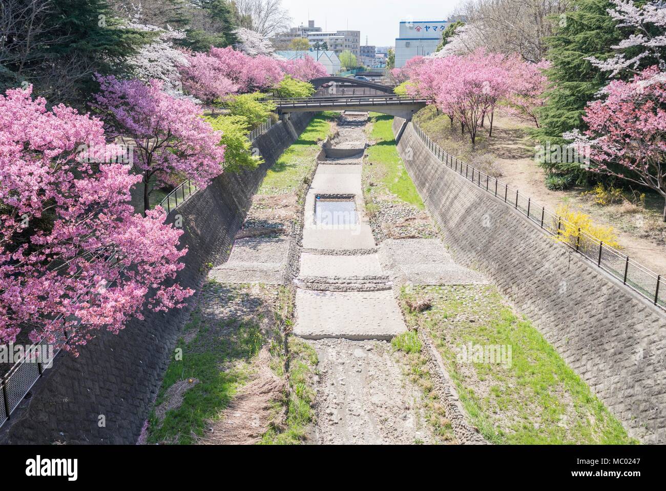 Showa Memorial Park, Tachikawa and Akishima City, Tokyo, Japan Stock ...