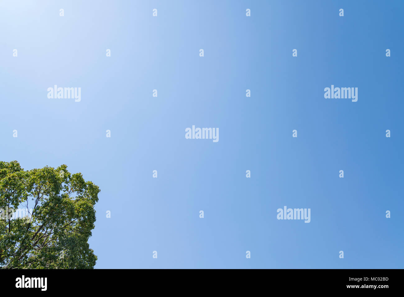 Showa Memorial Park, Tachikawa and Akishima City, Tokyo, Japan Stock ...