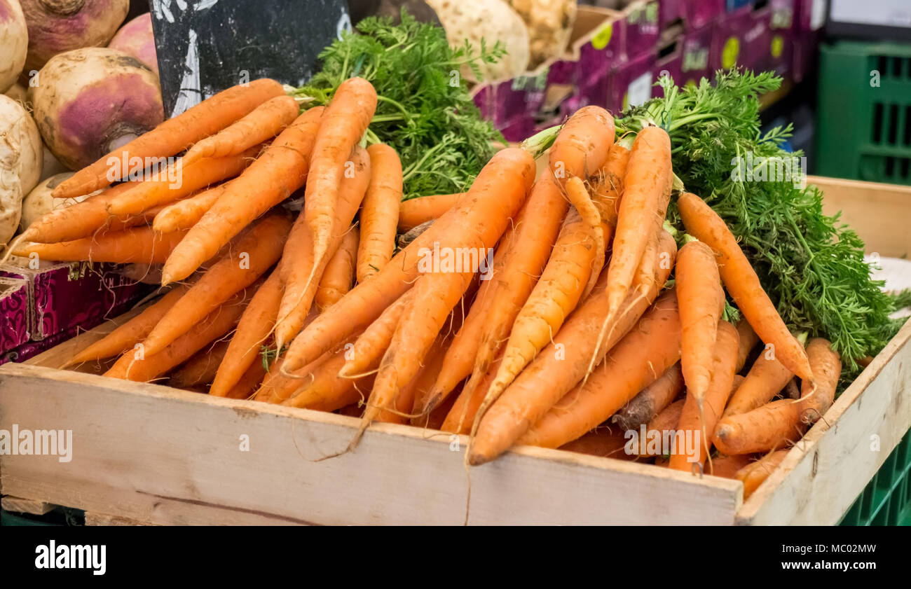 Close up of carrots hi-res stock photography and images - Alamy
