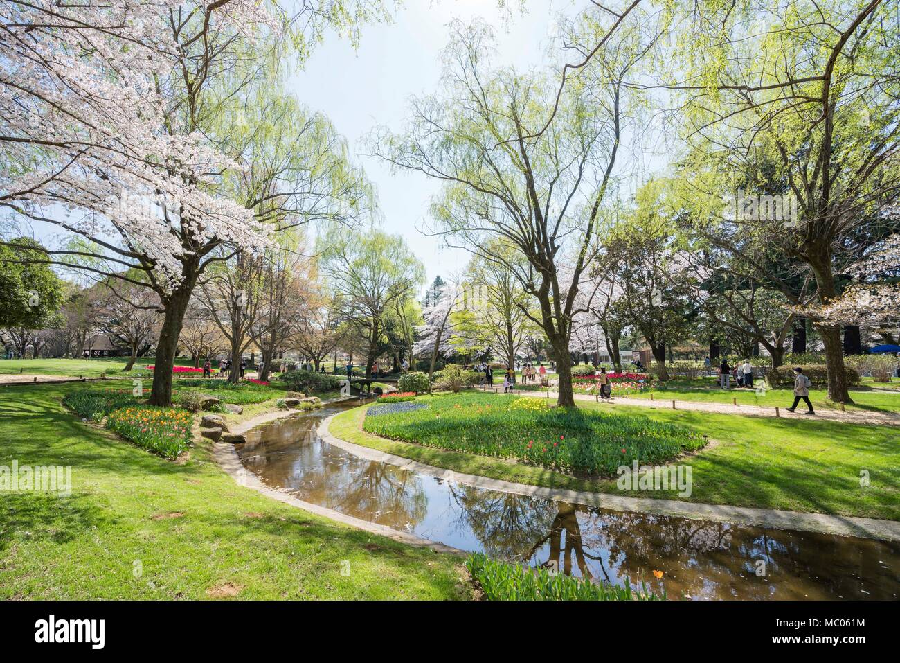 Showa Memorial Park, Tachikawa and Akishima City, Tokyo, Japan Stock ...
