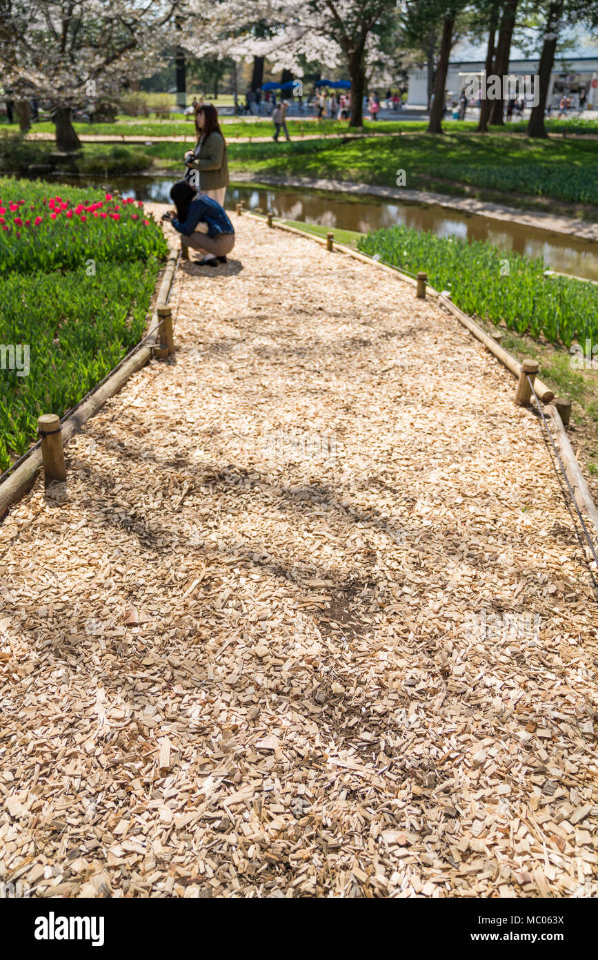 Showa Memorial Park, Tachikawa and Akishima City, Tokyo, Japan Stock ...