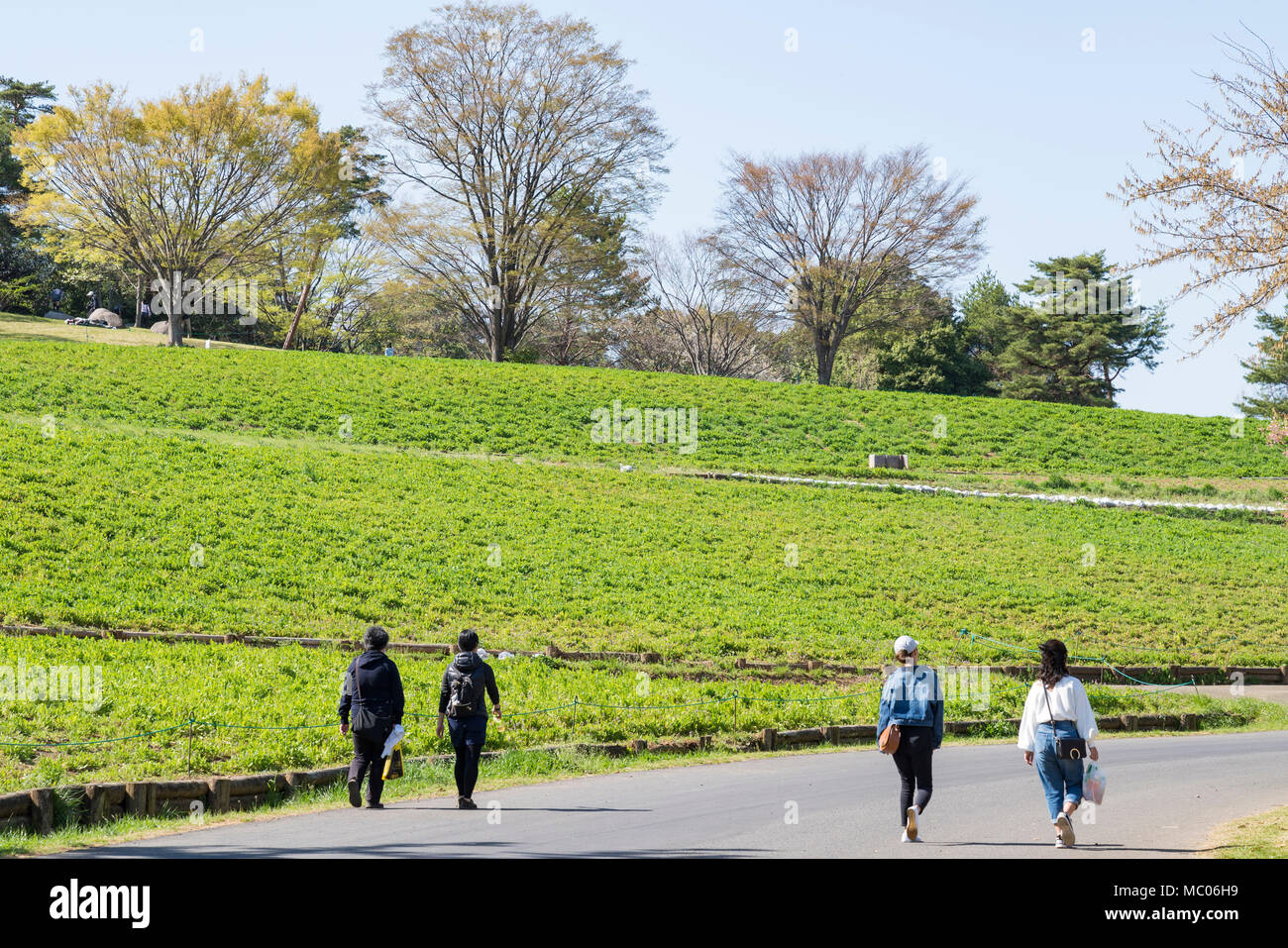 Showa Memorial Park, Tachikawa and Akishima City, Tokyo, Japan Stock ...