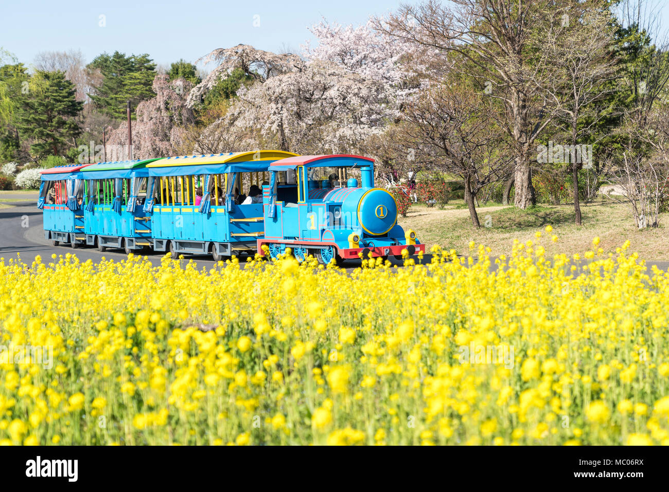 Showa Memorial Park, Tachikawa and Akishima City, Tokyo, Japan Stock ...