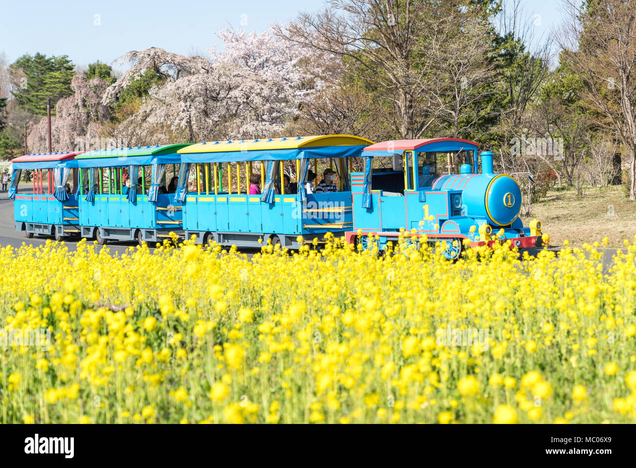 Showa Memorial Park, Tachikawa and Akishima City, Tokyo, Japan Stock ...