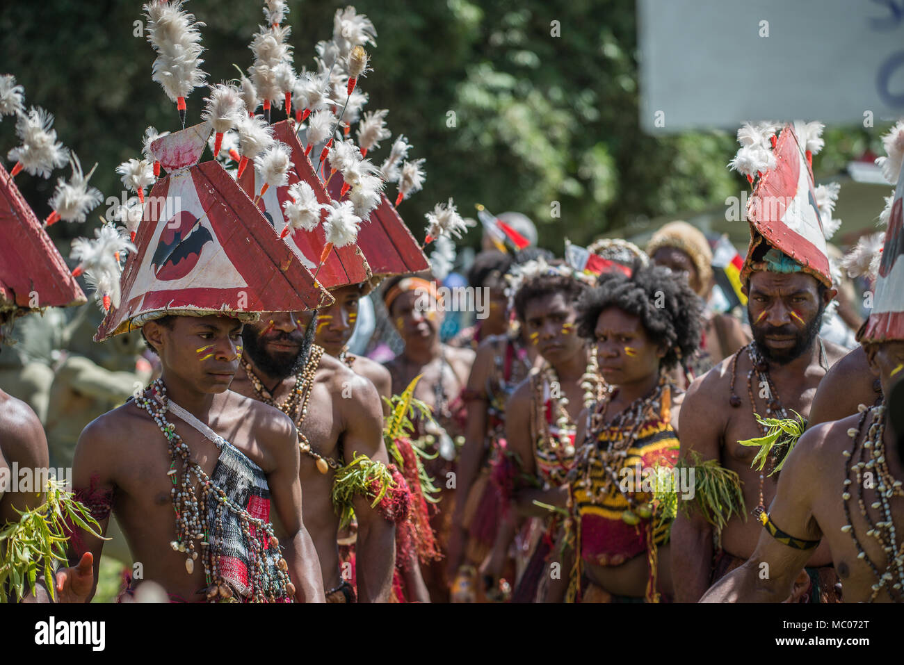 A group of dancers with impressive headdress, Mount Hagen Cultural Show ...