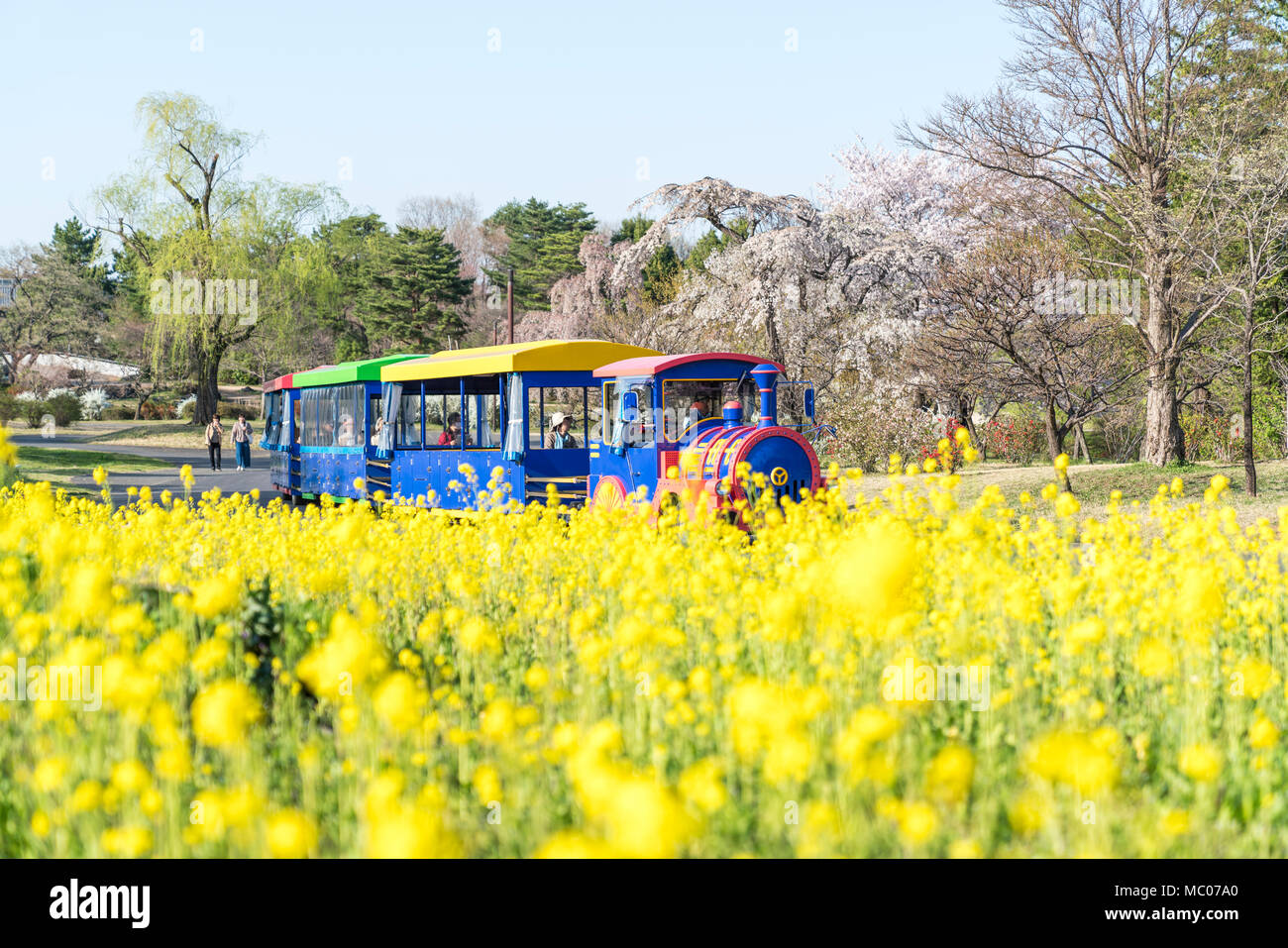 Showa Memorial Park, Tachikawa and Akishima City, Tokyo, Japan Stock ...