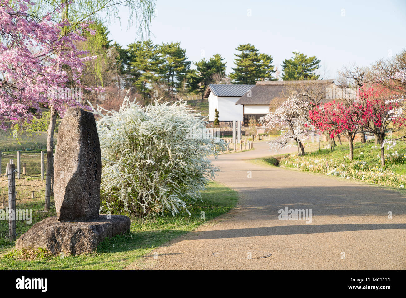 Showa Memorial Park, Tachikawa and Akishima City, Tokyo, Japan Stock ...