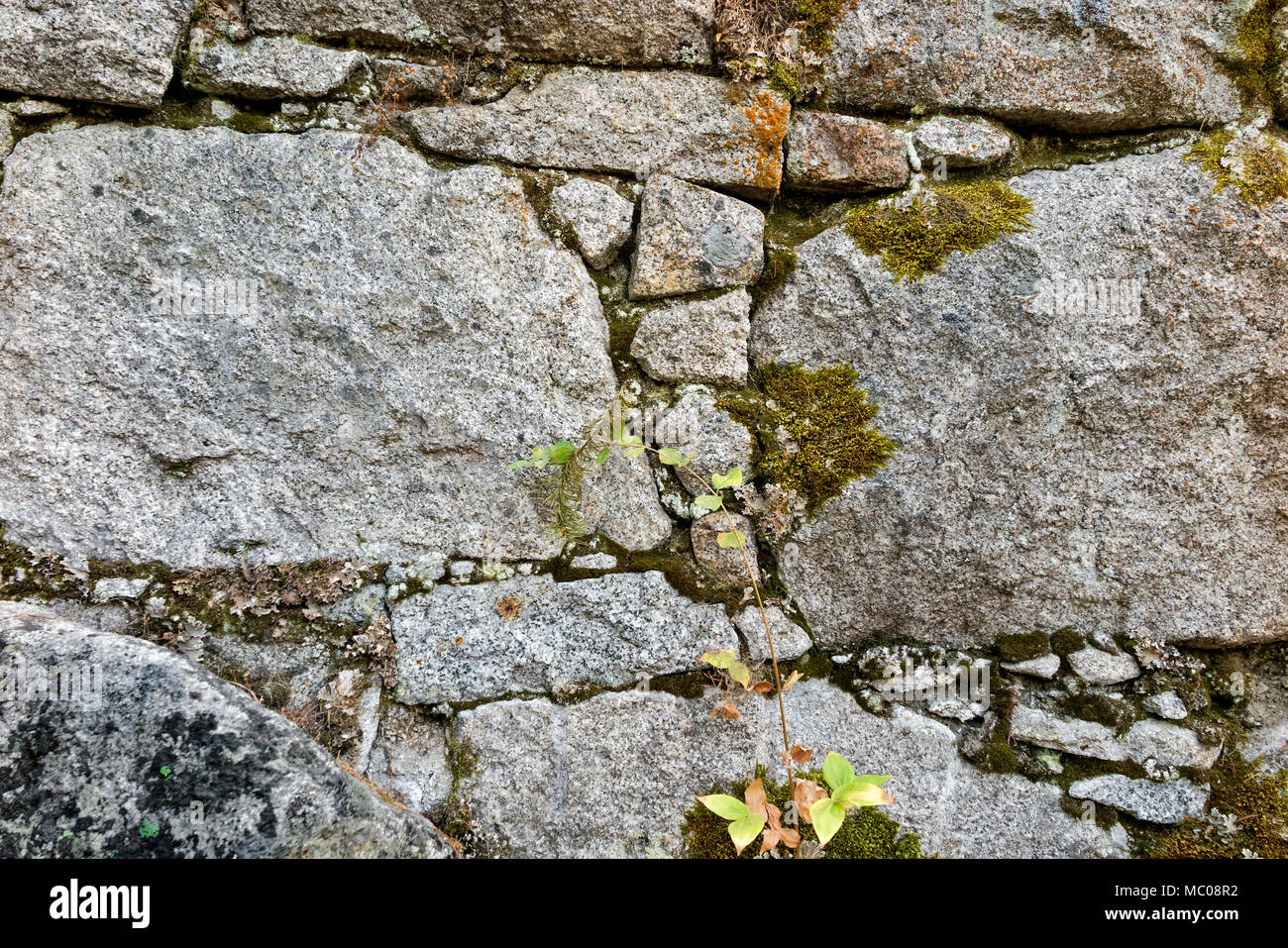 WASHINGTON - Stone work on the foundation for the Arlington Mining ...