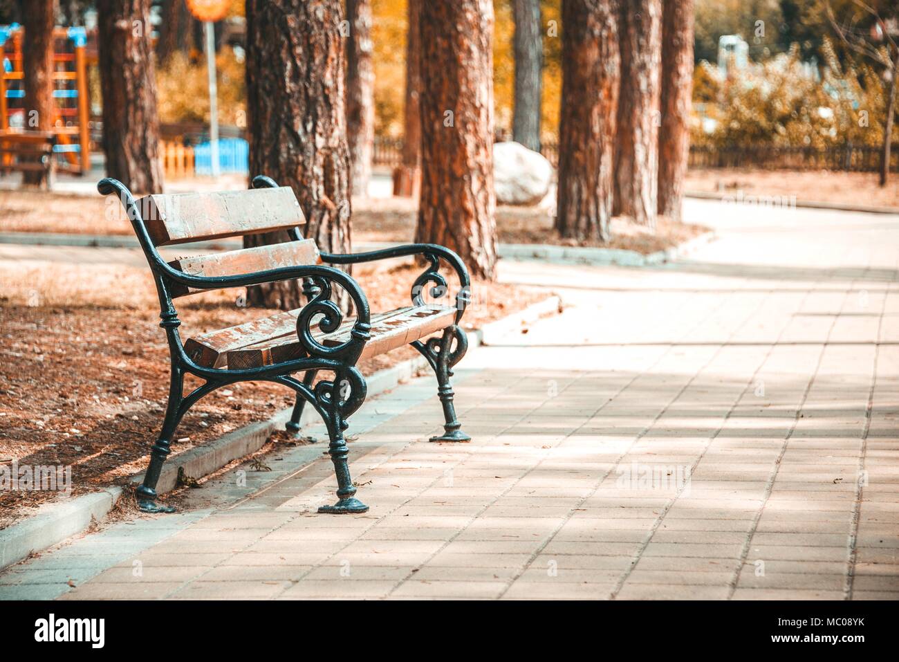 Sunlight spring park nature hi-res stock photography and images - Alamy