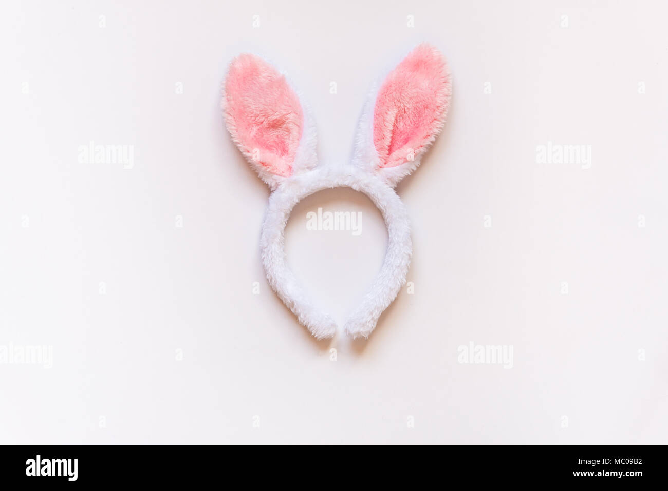 Top view of white fluffy bunny ears over white background Stock Photo ...
