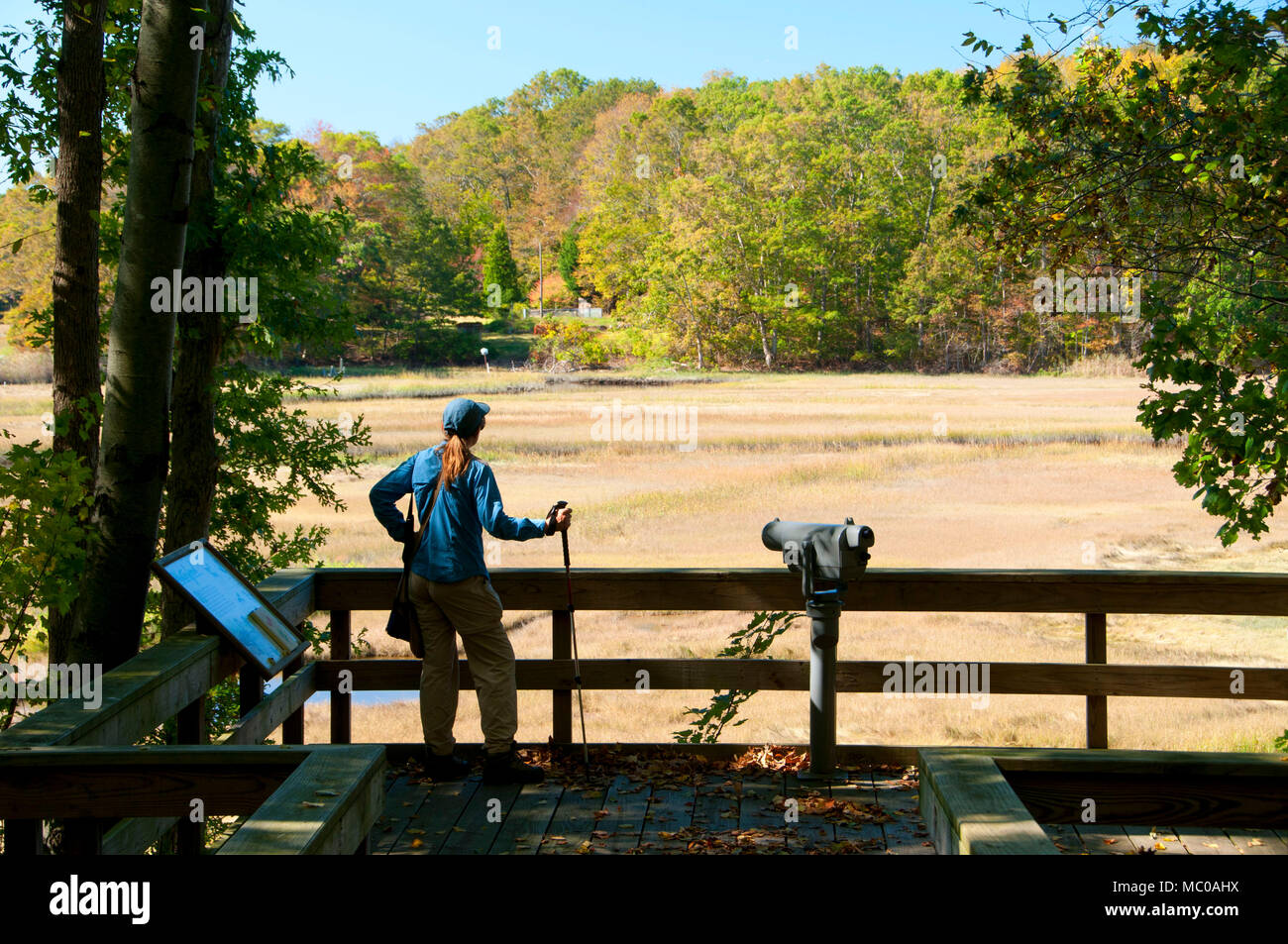 Salt marsh observation deck, Salt Meadow Unit-Stewart B. McKinney ...