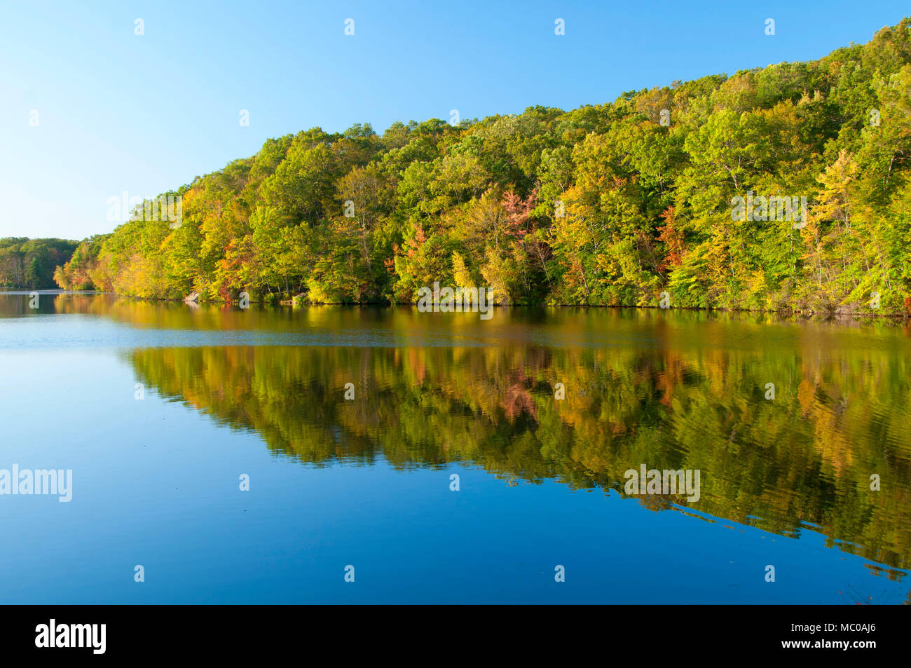 Pattaconk Reservoir, Cockaponset State Forest, Connecticut Stock Photo ...