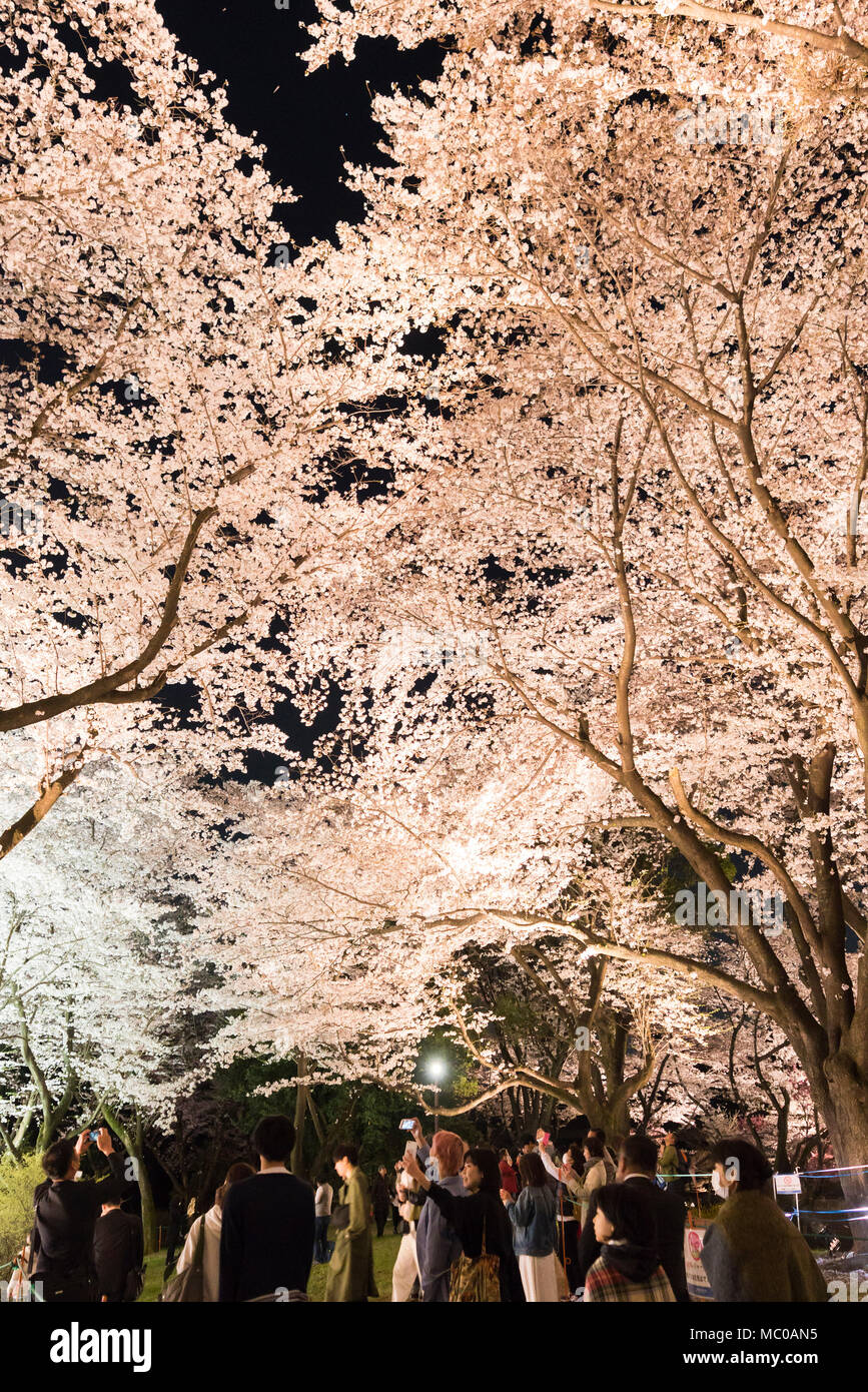 Showa Memorial Park, Tachikawa and Akishima City, Tokyo, Japan Stock ...