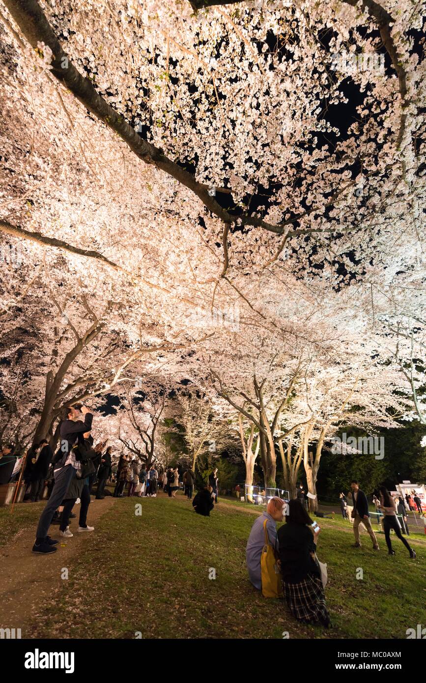 Showa Memorial Park, Tachikawa and Akishima City, Tokyo, Japan Stock ...