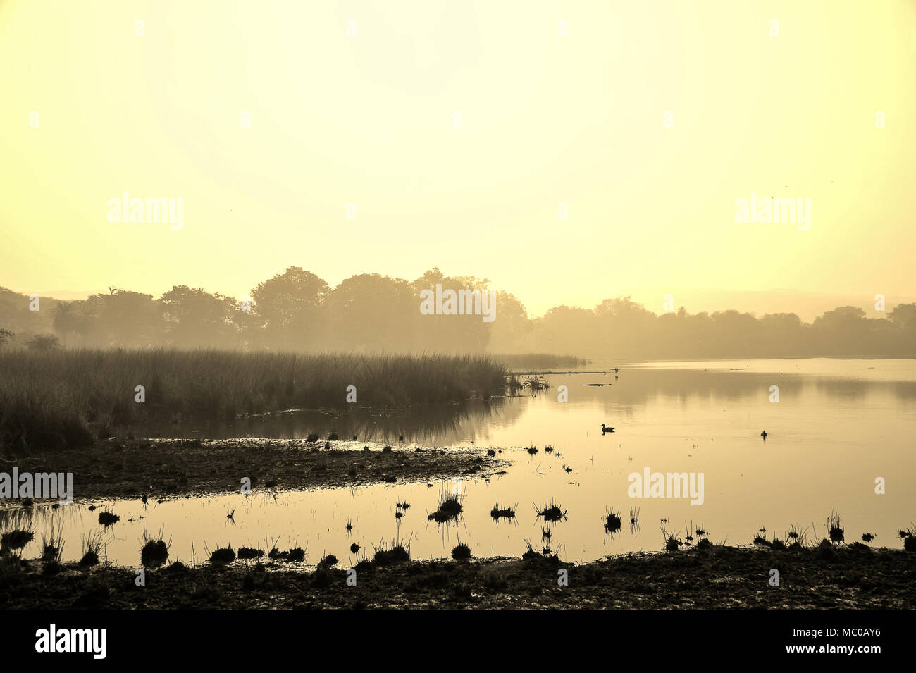 Padam talao lake hi-res stock photography and images - Alamy