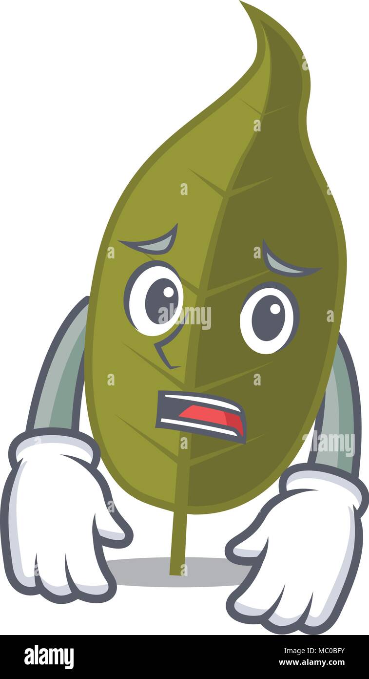 Afraid bay leaf mascot cartoon Stock Vector Image & Art - Alamy