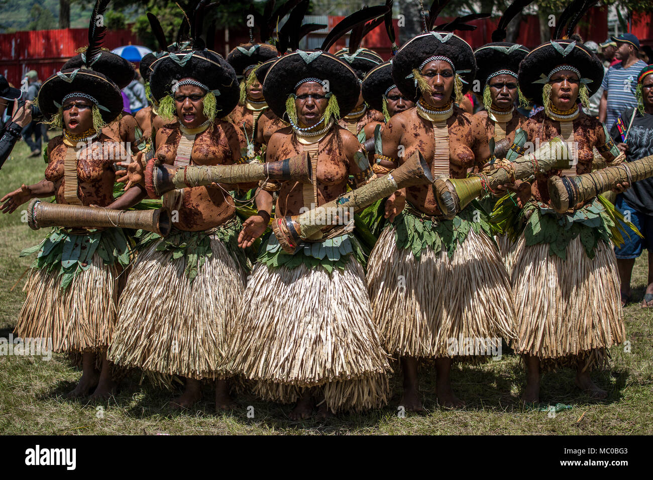 A group of Suli Muli women from Enga dancing with round human hair ...