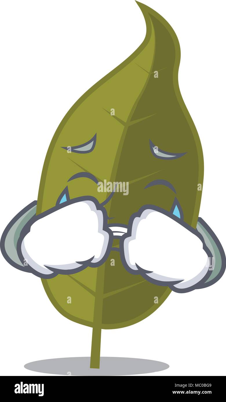 Crying bay leaf mascot cartoon Stock Vector Image & Art - Alamy