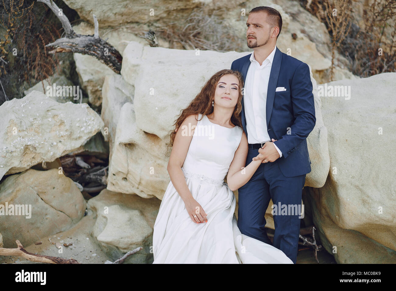 Brush wedding hi-res stock photography and images - Alamy