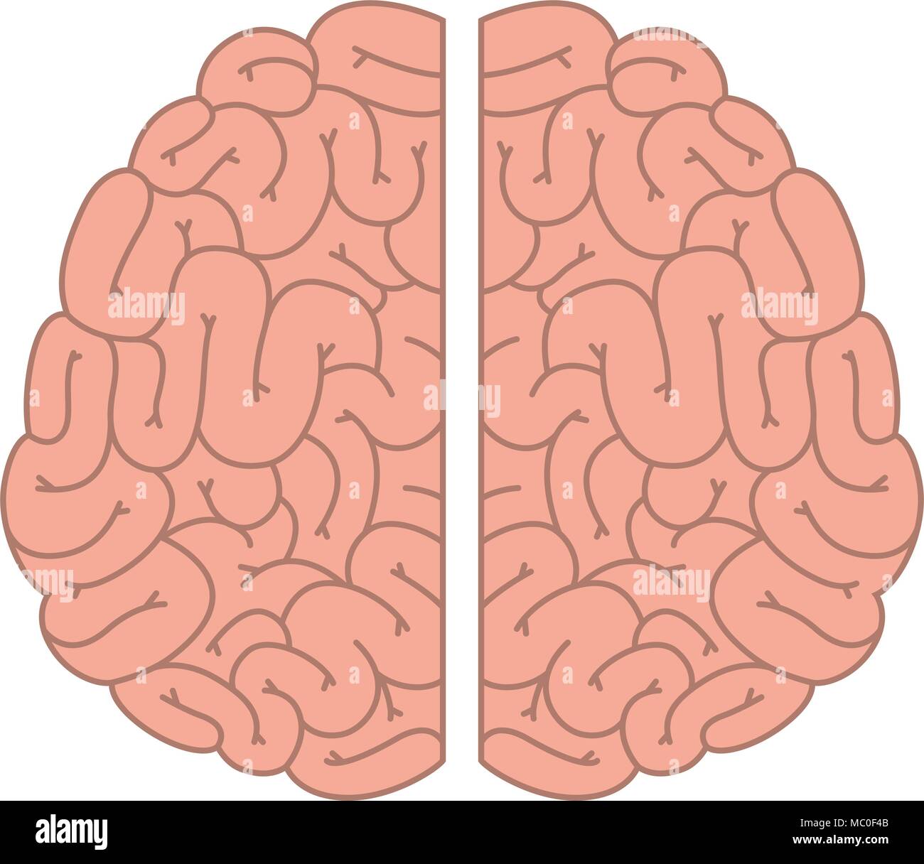 human brain organ icon Stock Vector Image & Art - Alamy