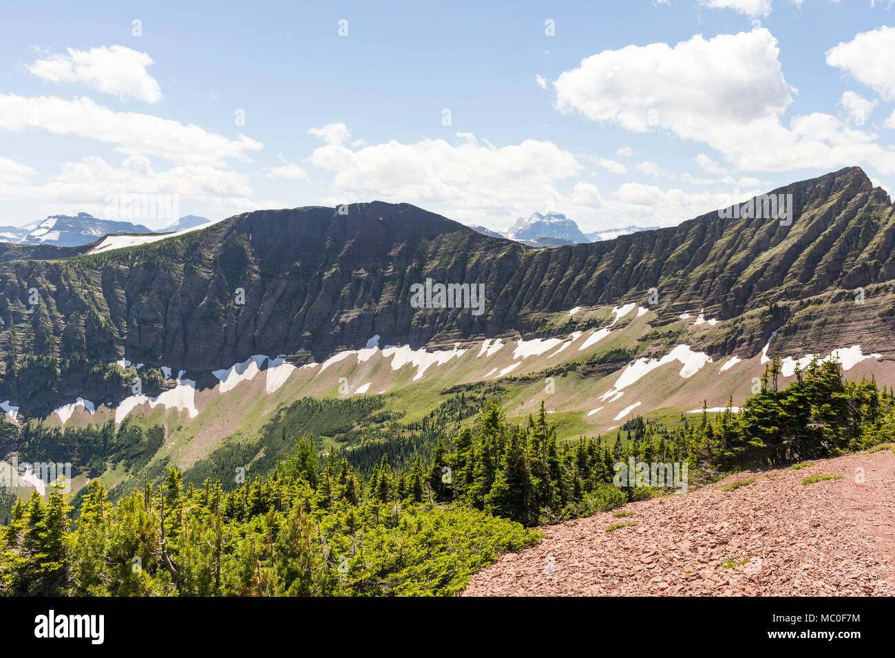 Tamarack hi-res stock photography and images - Alamy