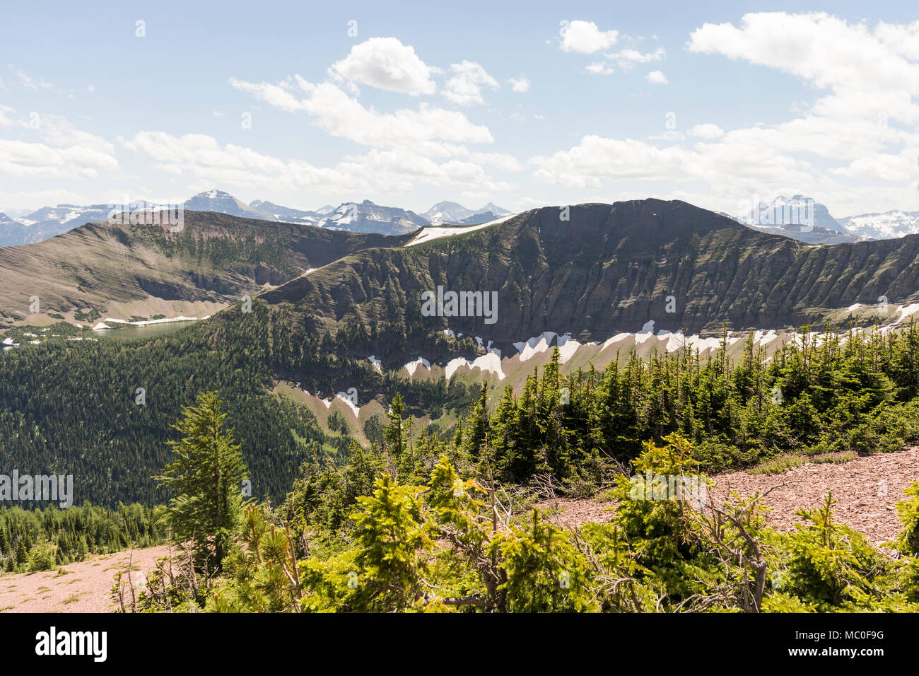 Tamarack hi-res stock photography and images - Alamy