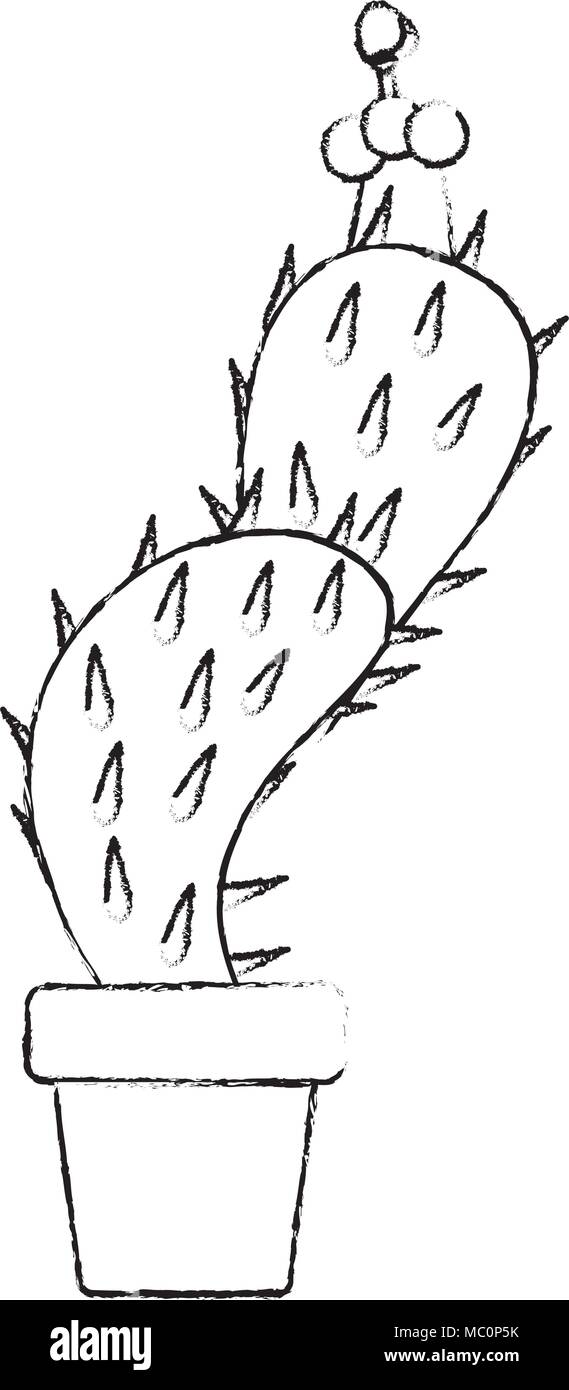 Nopal cactus Stock Vector Images - Alamy