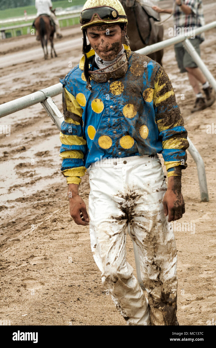 Serious horse hi-res stock photography and images - Alamy