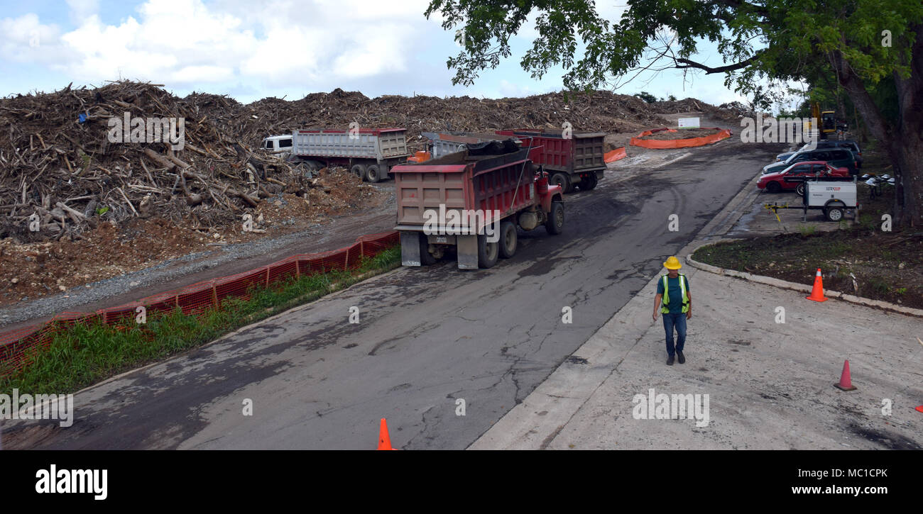 Mounds of vegetative debris are collected and sorted by U.S. Army Corps ...