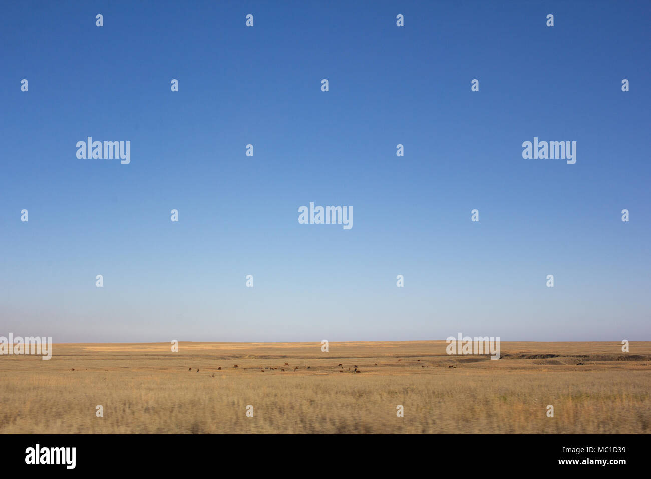 Middle veld hi-res stock photography and images - Alamy