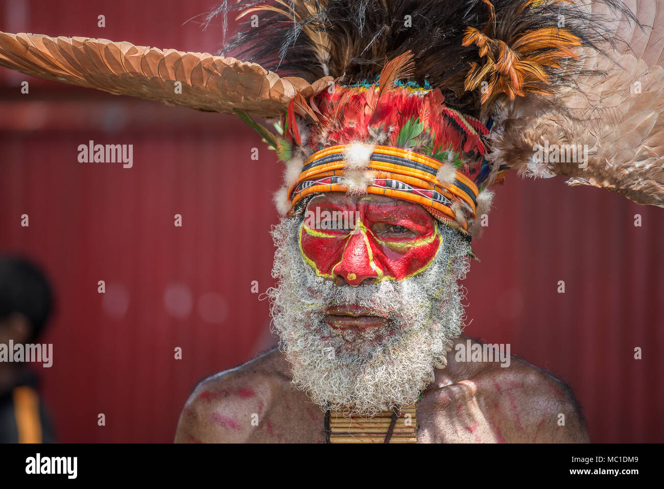 An old tribesman with a headdress made by the wings of a bird, Mount ...