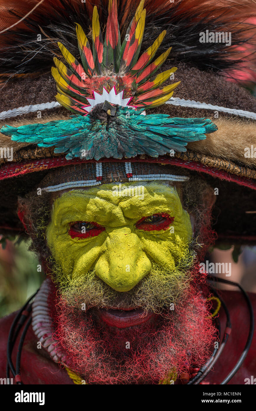 Portrait of an old Huli wigman with yellow face painting, Mount Hagen ...