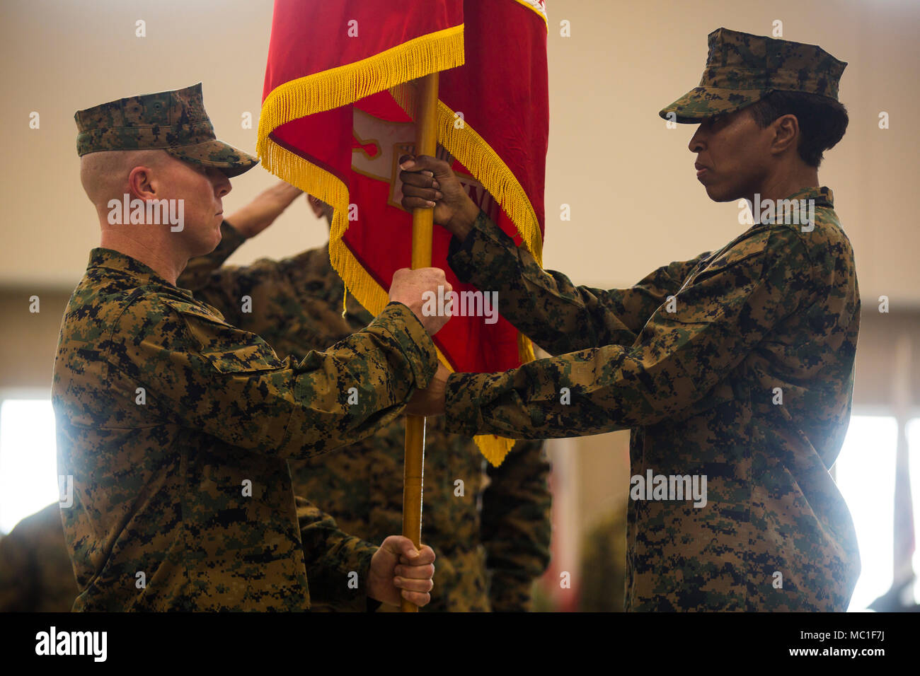 Robin fortner hi-res stock photography and images - Alamy