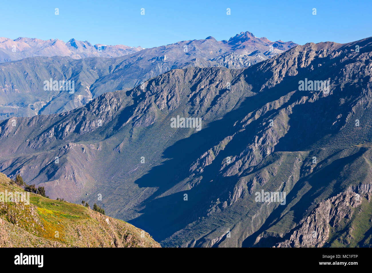 Colca Canyon is a canyon of the Colca River in southern Peru Stock ...