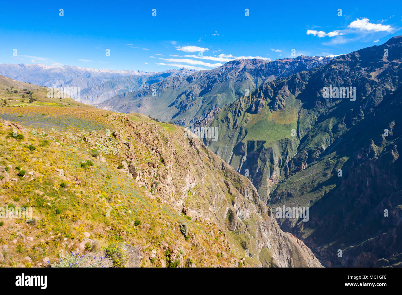 Colca Canyon is a canyon of the Colca River in southern Peru Stock ...