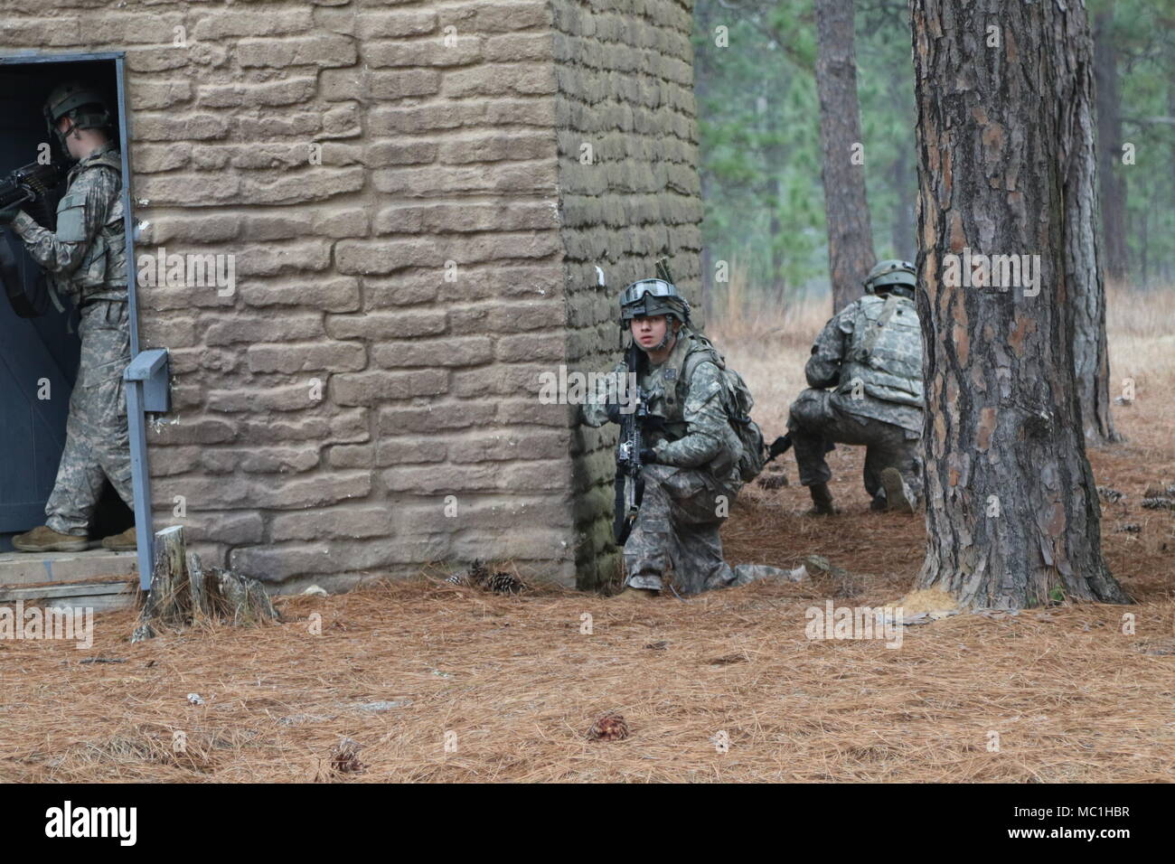 Soldiers from 1st Brigade Combat Team, 10th Mountain Division from Fort ...