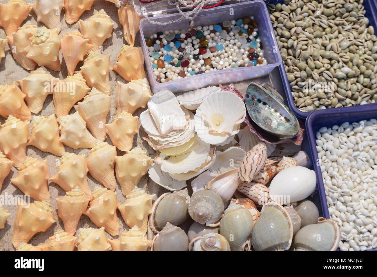 Different varieties of sea shells are selling in Kanyakumari beach side ...