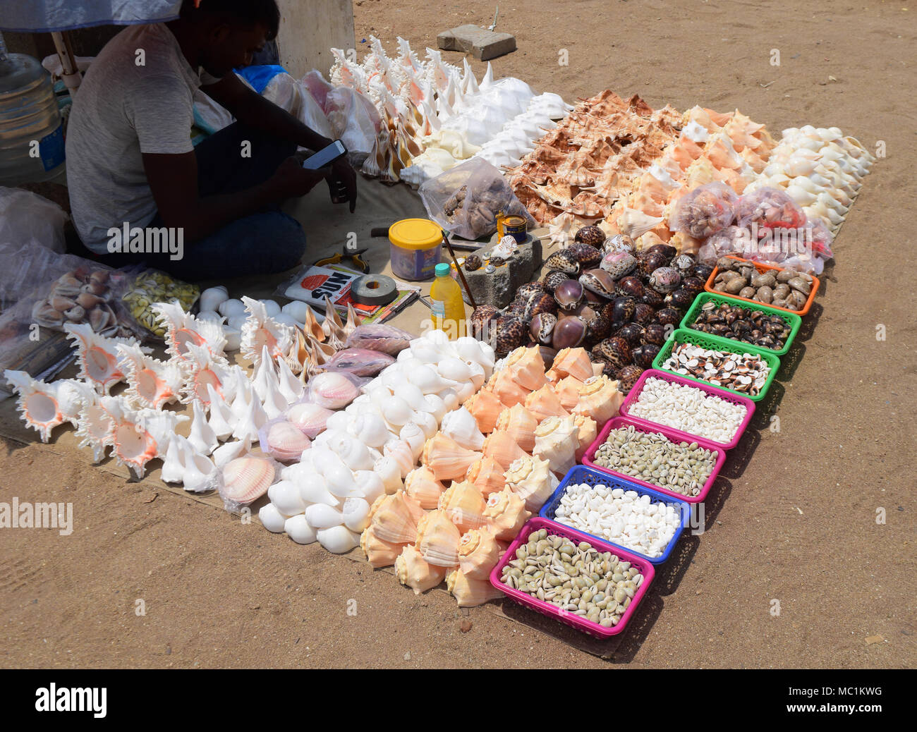 A man selling different varieties shade of sea shells in sea side under ...