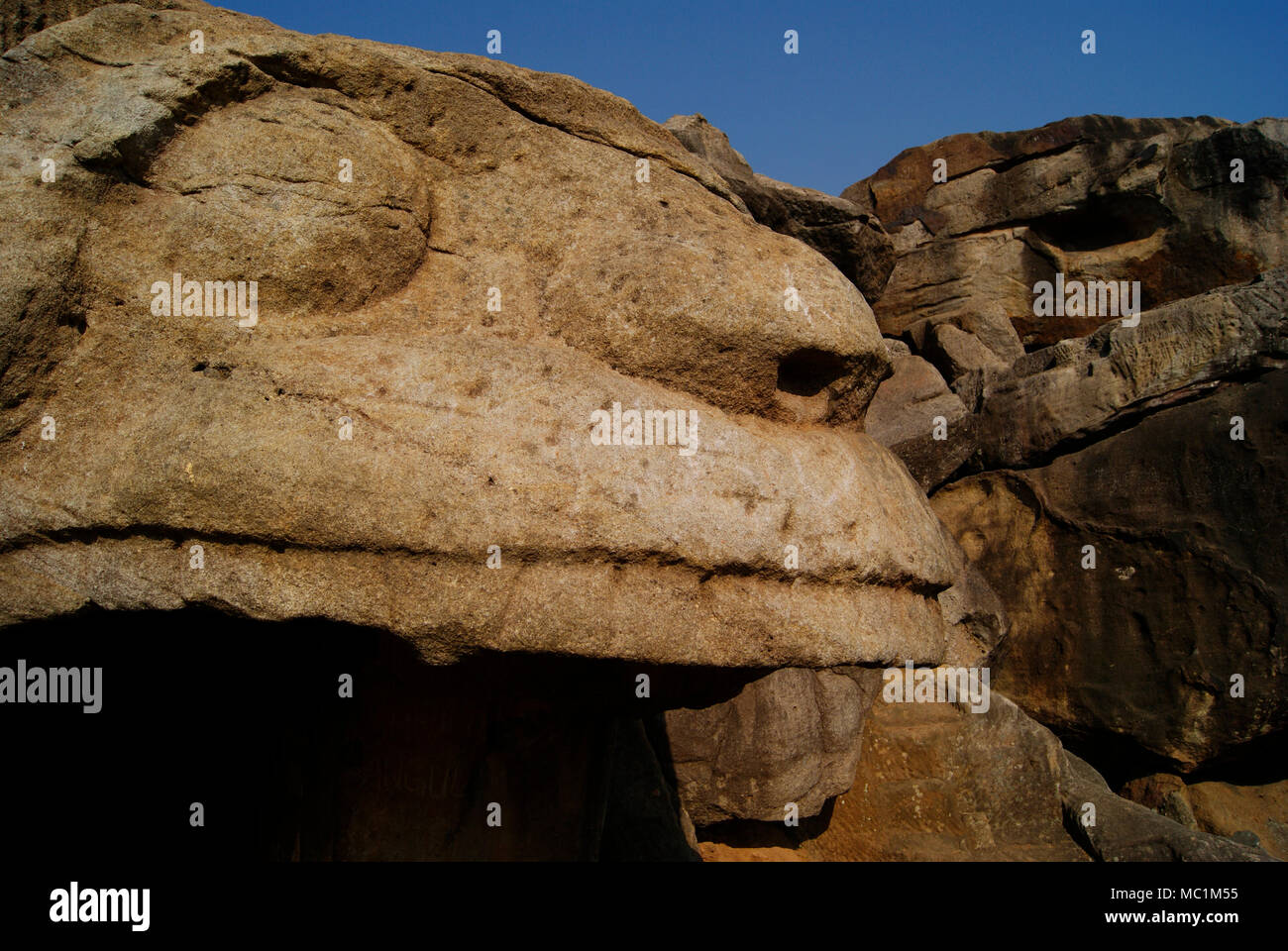 The Tiger Cave ( Bagh Gumpha) Udayagiri.The Bagh Gumpha is a small cave ...