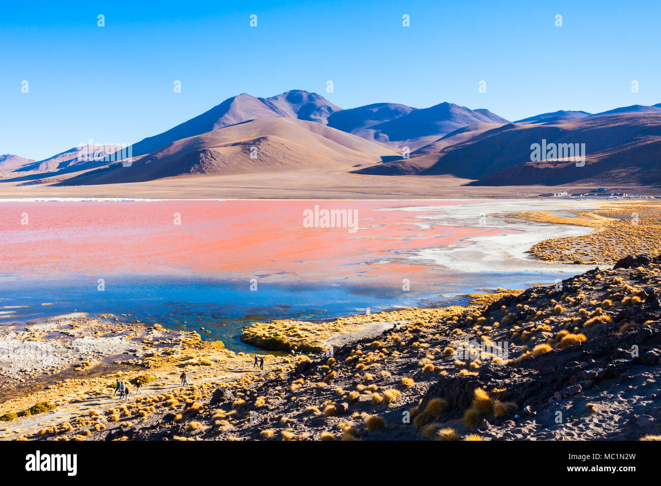 Laguna Colorada Picture Of Laguna Colorada, Bolivia: An Album Consist