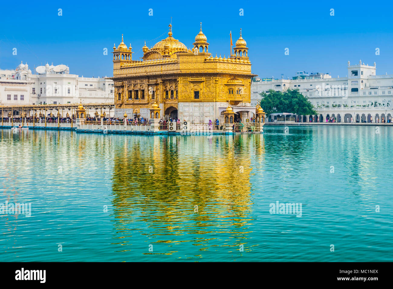 Golden Temple (Harmandir Sahib) in Amritsar, Punjab, India Stock Photo ...