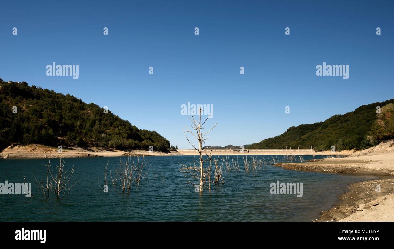 Plant life lake hi-res stock photography and images - Alamy