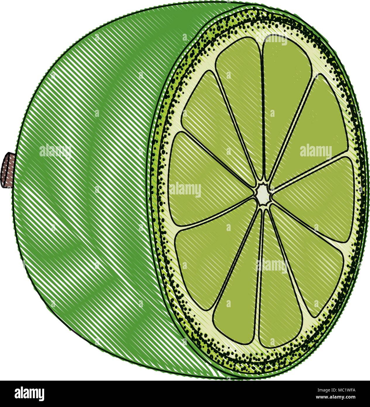 half lemon citrus fruit icon Stock Vector Image & Art - Alamy