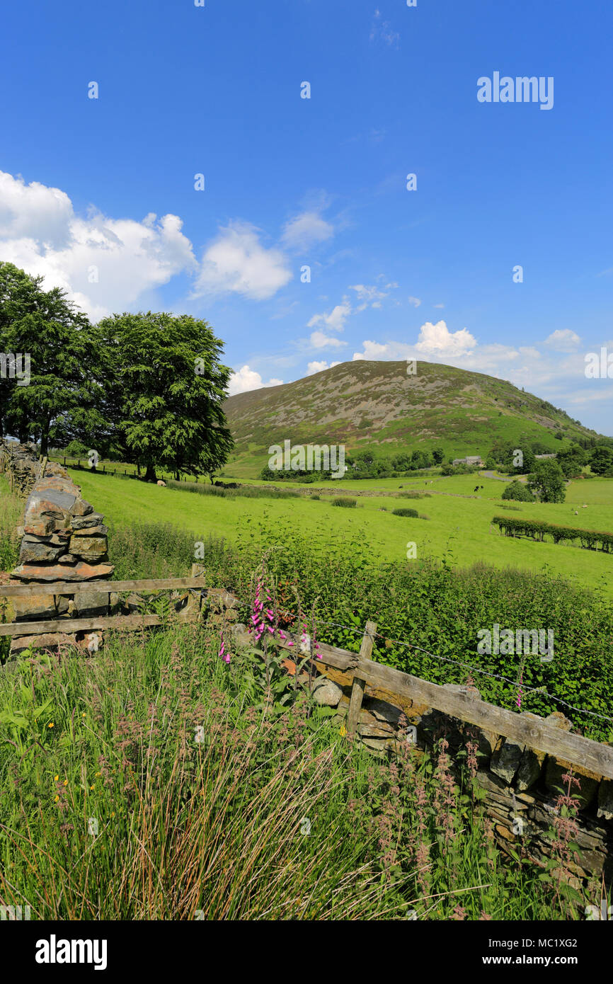 The Mosedale valley and Carrock fell, Lake District National Park ...